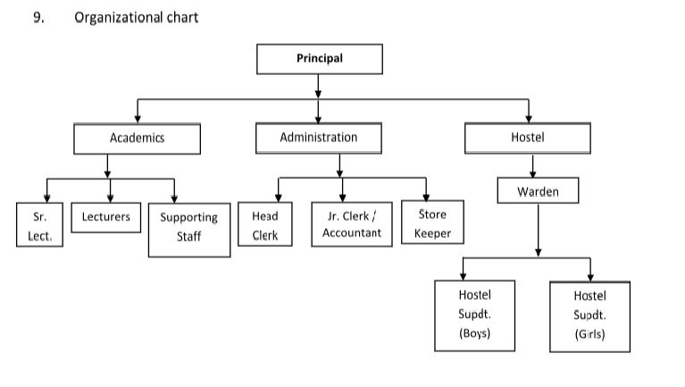 Organization Chart – Polytechniq